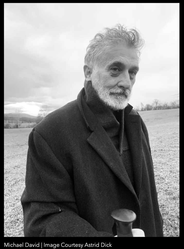 Michael David - Artemis Global Art - Art Gallery in Woodstock VT